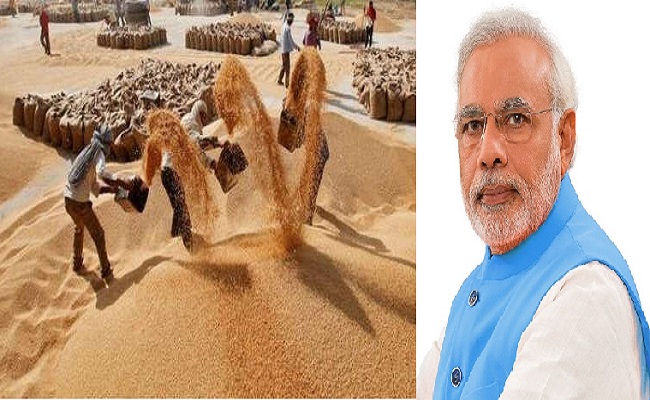 मोदी सरकार का बड़ा फैसला- दुनिया की सबसे बड़ी अनाज भंडारण योजना को ...